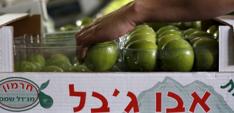 L'Europe impose l'étiquetage des produits israéliens - Réalités Magazine