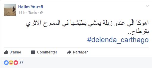 Festival de Carthage : La programmation ne fait pas l’unanimité ...